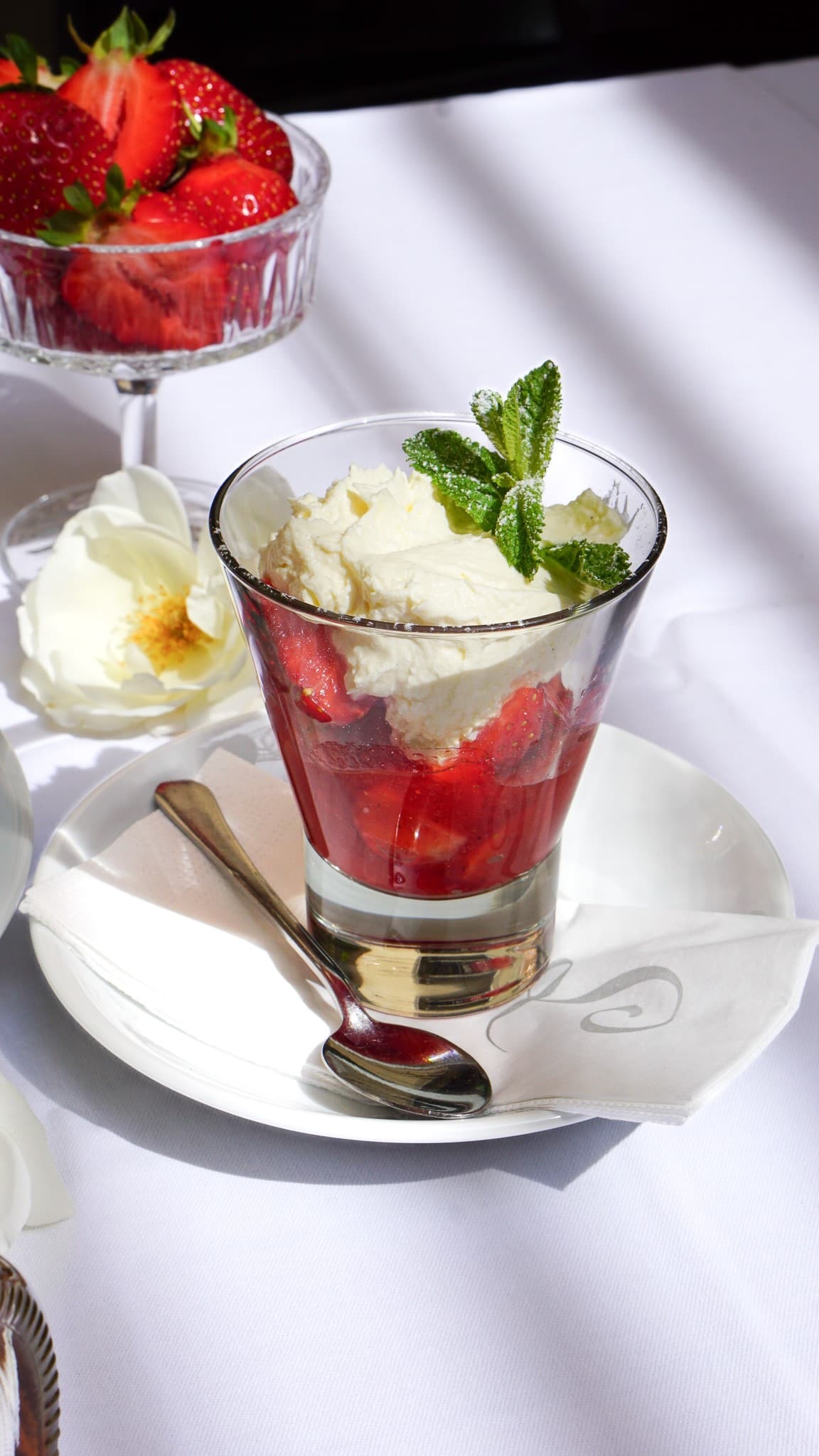 Dinner - Café Louvre